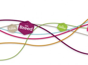 Food NI - Our Food So Good!