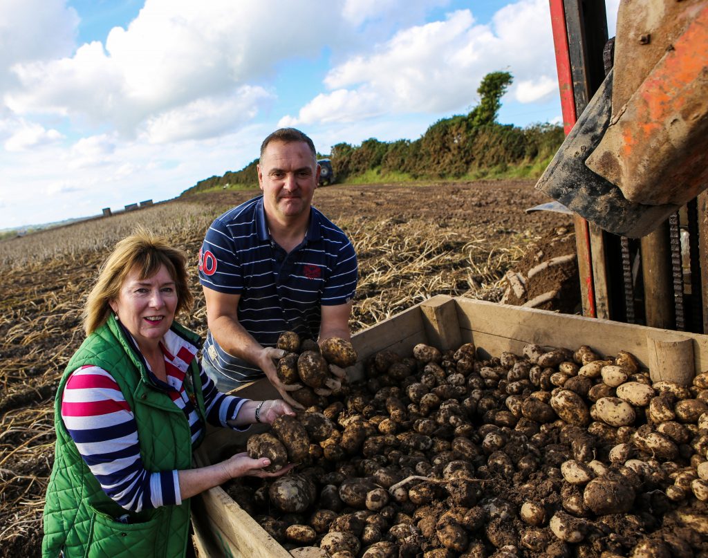 Straight from the Field to Comber Farmers’ Market | Food NI - Our Food ...