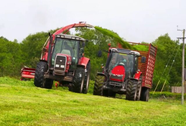 Silage, Sheep And Selling Cattle In The Next Rare Breed | Food NI - Our ...