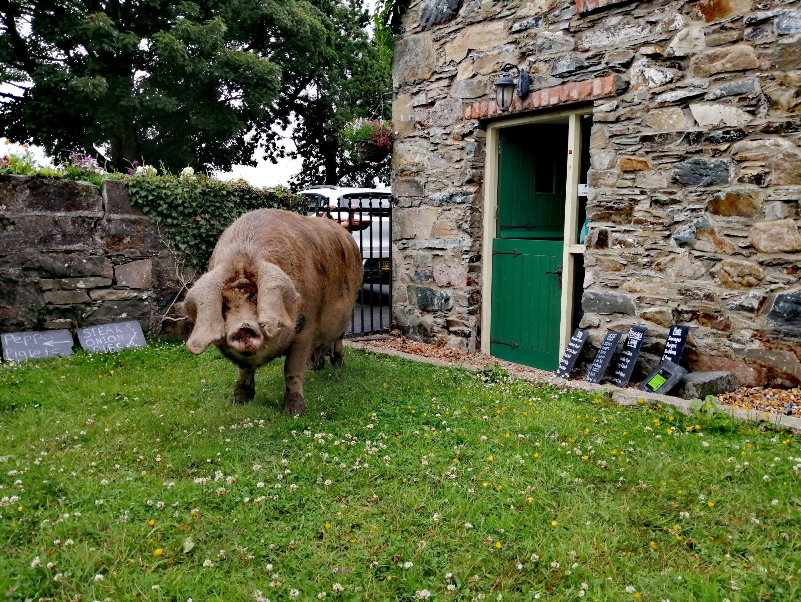 Stonebridge Cottage Farm | Food NI