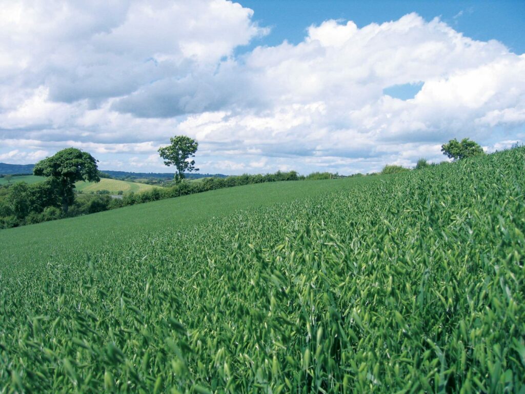 Fane Valley in joint venture with Drummonds | Food NI - Our Food So Good!